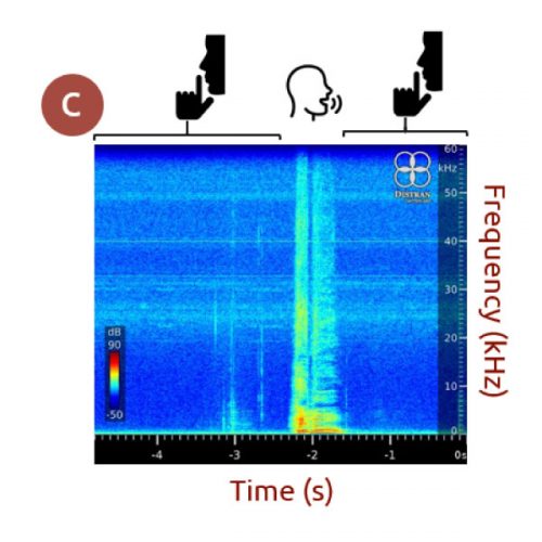 Improve leak detection in noisy environments with the spectrogram, Distran